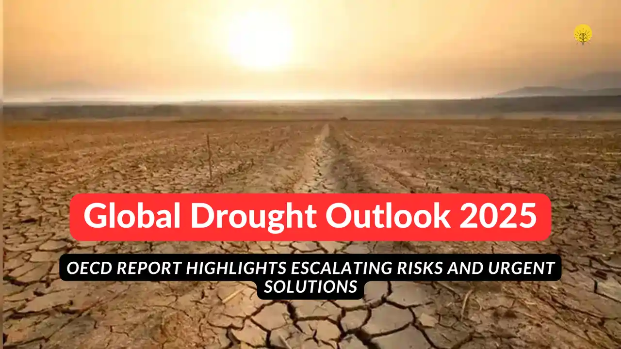 Global Drought Outlook 2025: OECD Report Highlights Escalating Risks ...