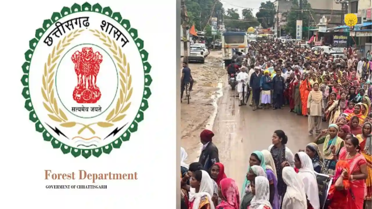 Chhattisgarh Forest Department Withdraws Controversial Community Forest ...